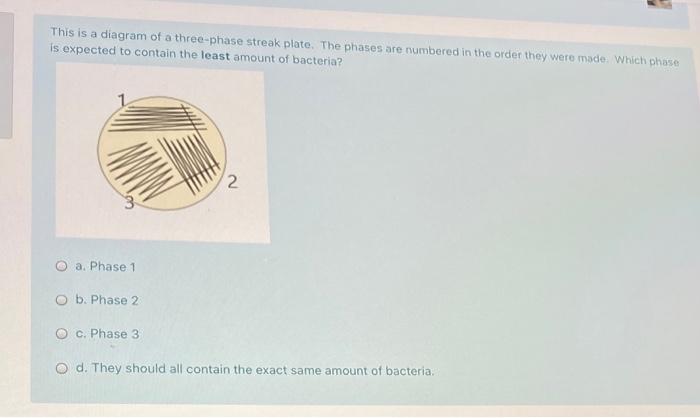 Solved This is a diagram of a three-phase streak plate. The | Chegg.com