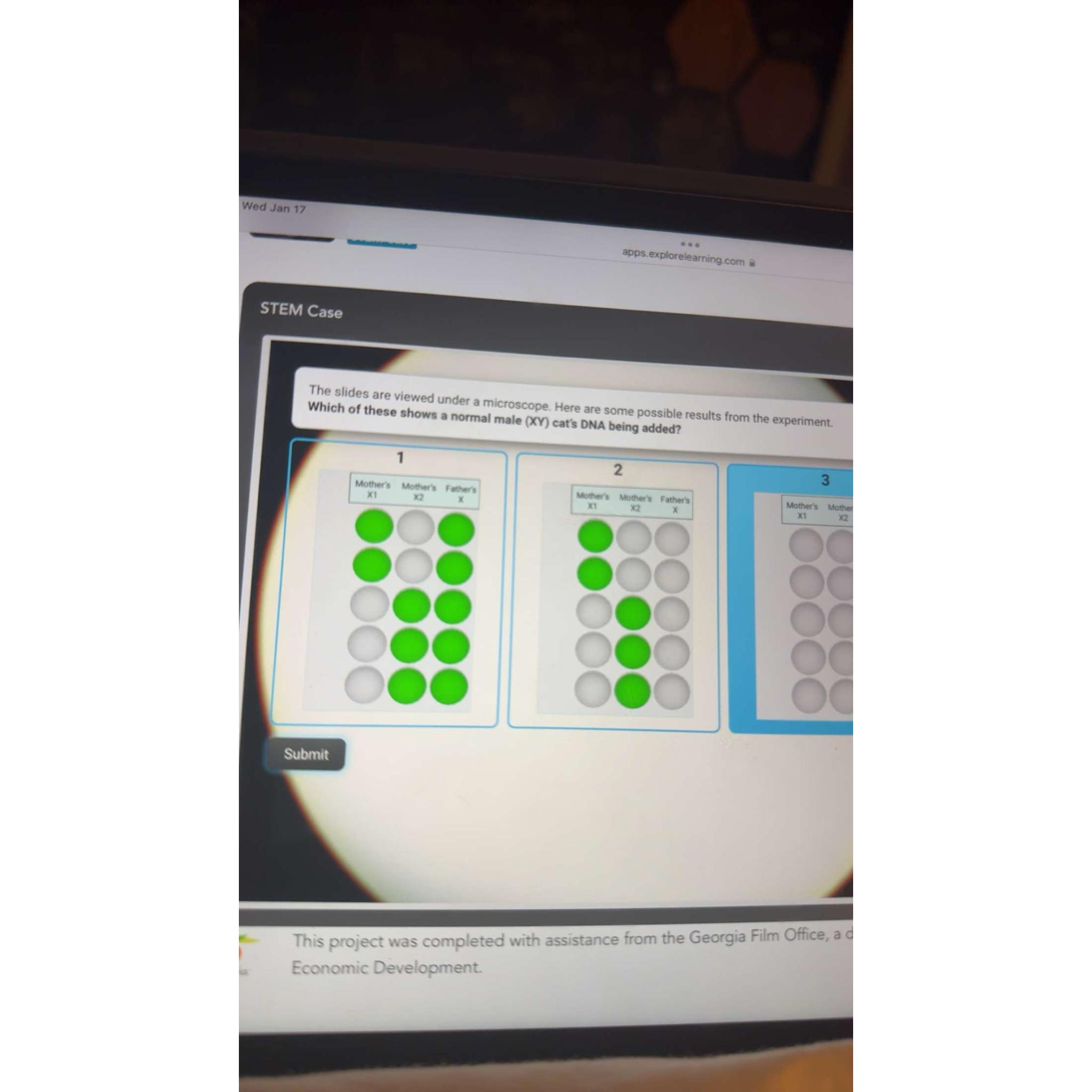 Solved The slides are viewed u der a mixroscope. Here are | Chegg.com