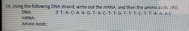 Solved 7. Write out the base sequence for a DNA strand | Chegg.com