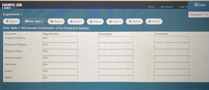 Solved Experiment1 Data Table 1: Microscopic Examination of | Chegg.com