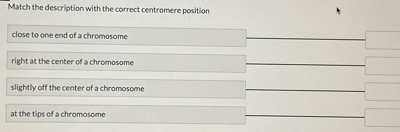 Solved Match the description with the correct centromere | Chegg.com