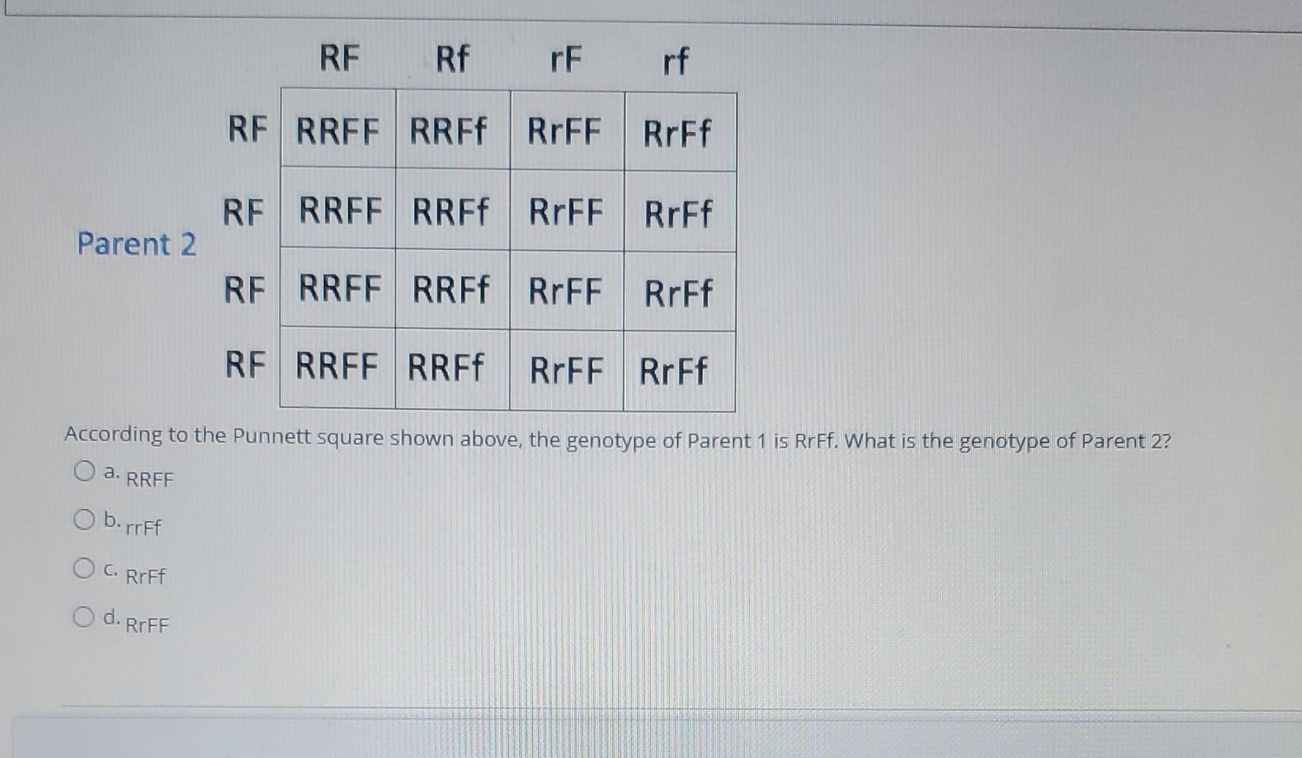 Solved RF Rf rF rf RF RRFF RRFF RIFF RrFf RF RRFF RRFF RIFF | Chegg.com