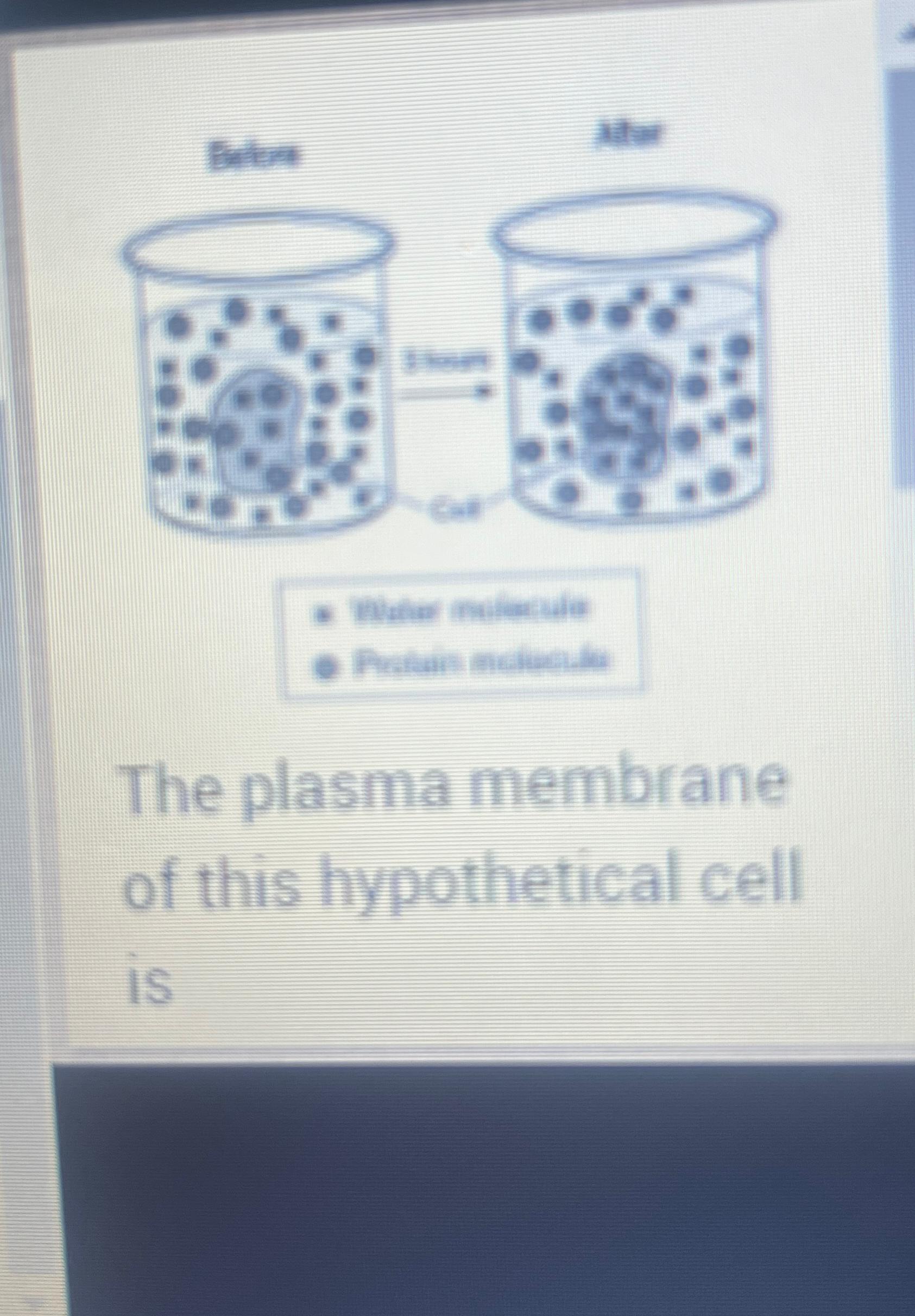 Solved The plasma membrane of this hypothetical cell is | Chegg.com