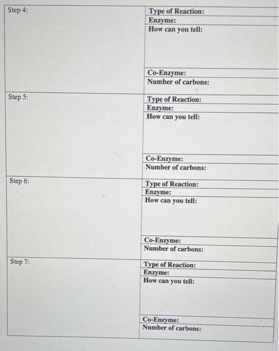 Solved 1. Map out the 10-step linear metabolic pathway of | Chegg.com