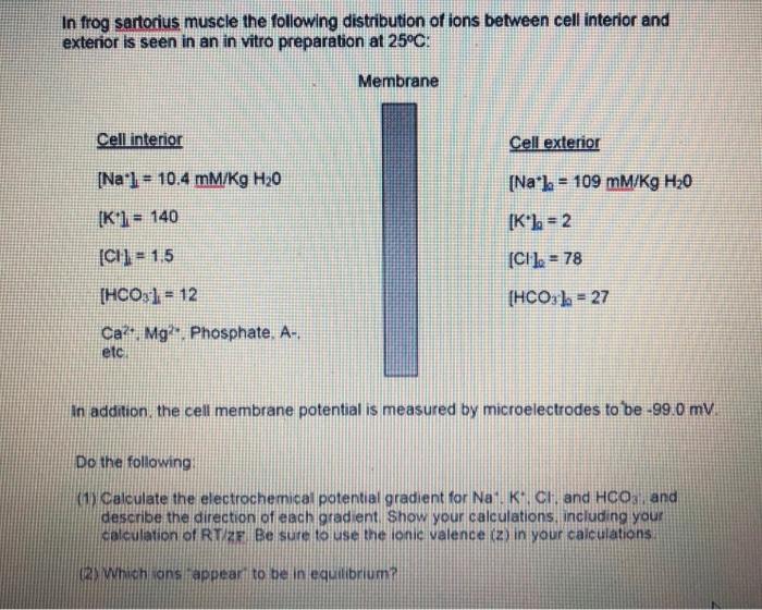 Solved In frog sartorius muscle the following distribution | Chegg.com
