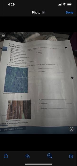 Solved Complete the labeling activity in FIGURE & 10 by | Chegg.com