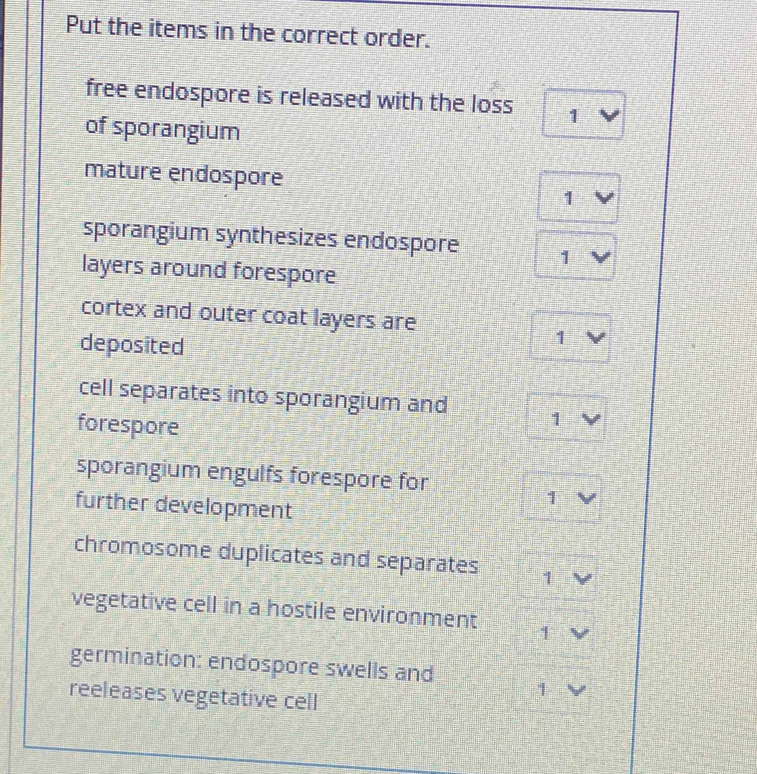 Solved Put the items in the correct order.free endospore is | Chegg.com