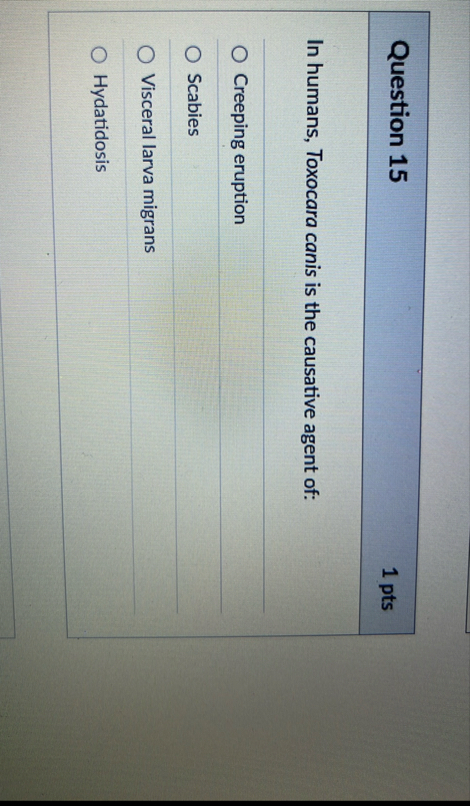 Solved Question 151 ﻿ptsIn humans, Toxocara canis is the | Chegg.com