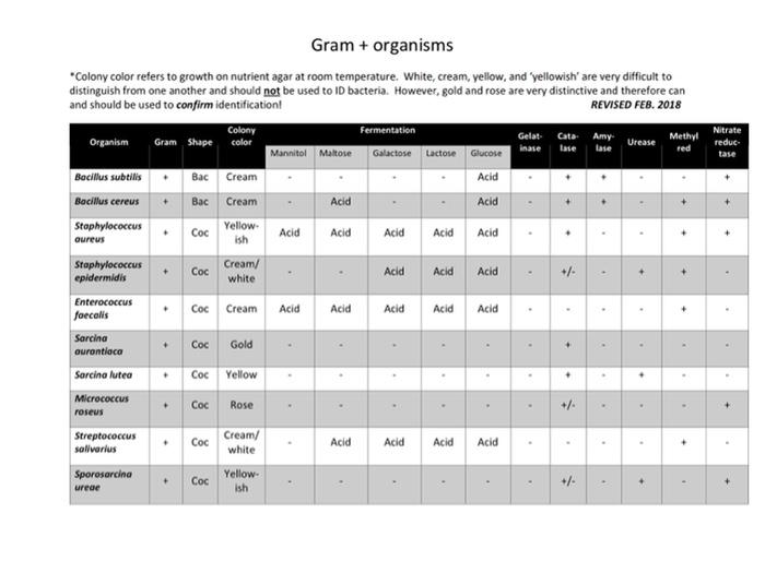 Solved Using the information from the Gram positive chart, | Chegg.com