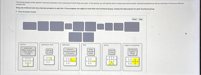 Solved Functional groups confer specific chemical properties | Chegg.com