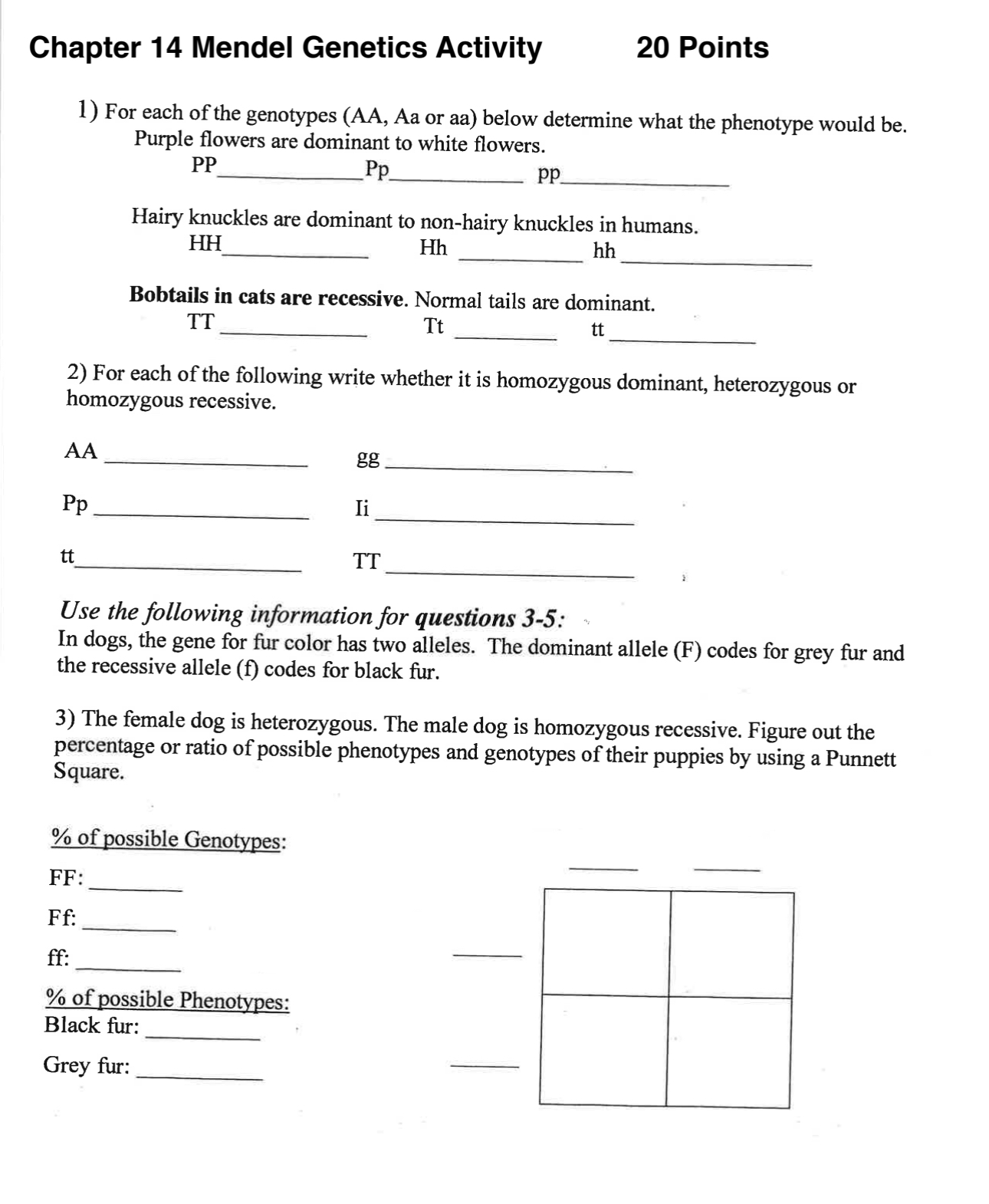 Solved Chapter 14 ﻿Mendel Genetics Activity20 ﻿PointsFor | Chegg.com