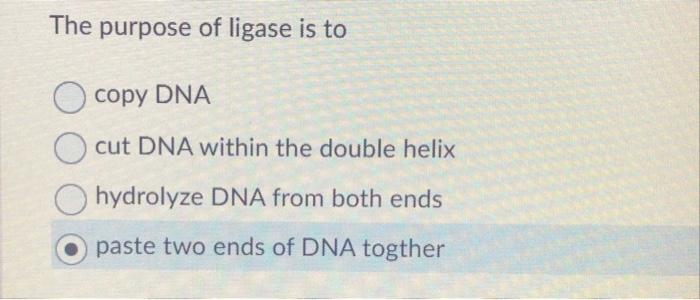 Solved The purpose of ligase is to copy DNA cut DNA within | Chegg.com