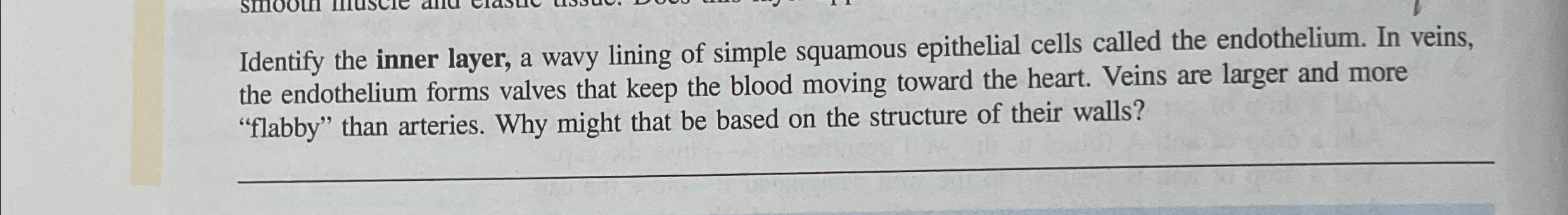 Solved Identify the inner layer, a wavy lining of simple | Chegg.com