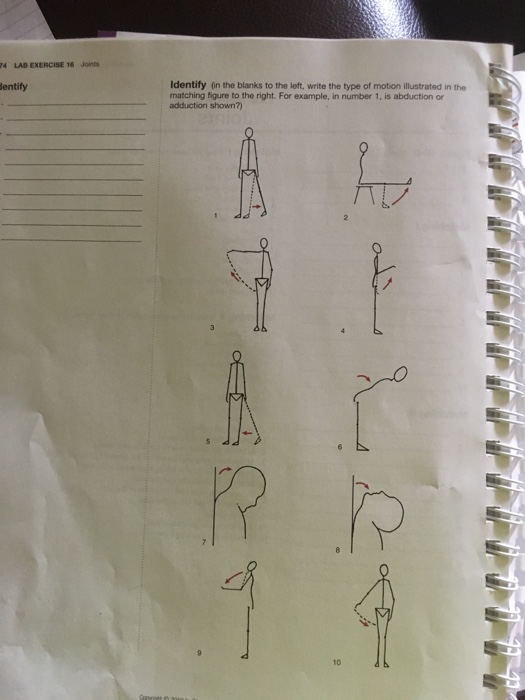 Solved 74 Lab Exercise 16 Joints Dentify Identify In The