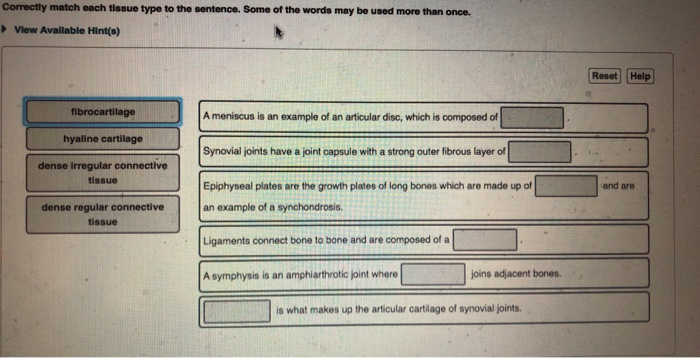 Solved Correctly match each tissue type to the sentence. | Chegg.com