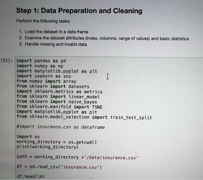 Solved Step 1: Data Preparation and Cleaning Perform the | Chegg.com
