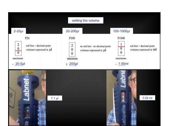 Solved 6. Calculate the transformation efficiency for your | Chegg.com