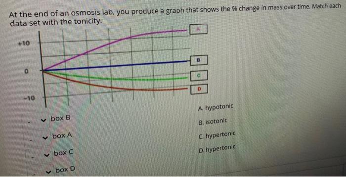 Solved At the end of an osmosis lab, you produce a graph | Chegg.com