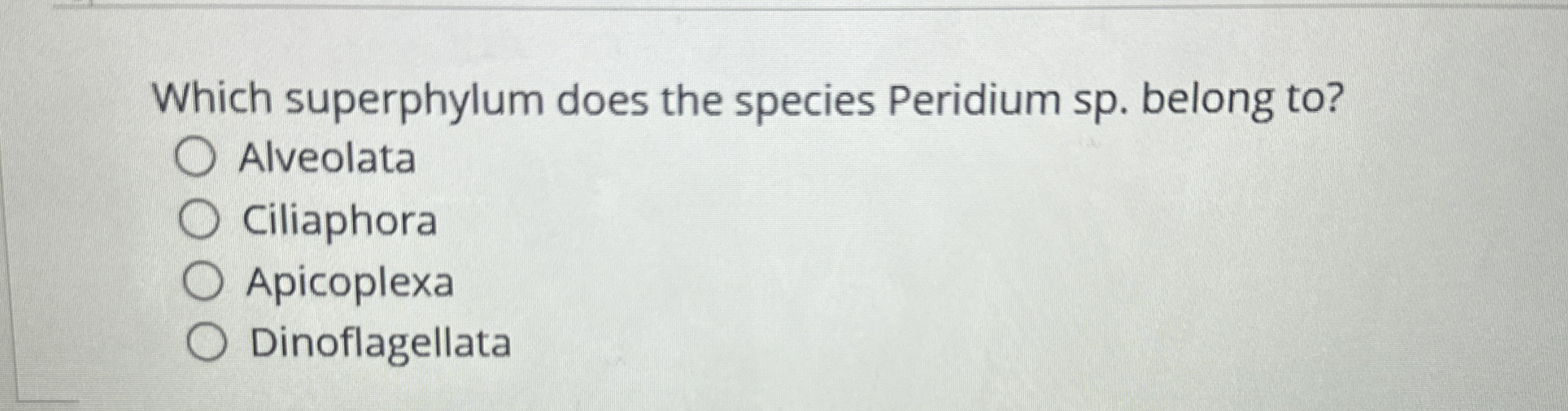 Solved Which superphylum does the species Peridium sp. | Chegg.com