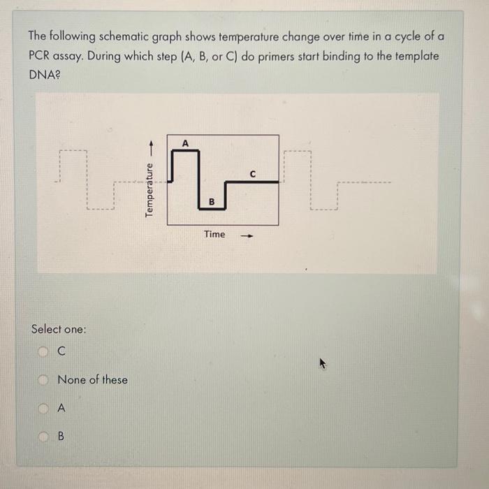 Solved After sequencing your DNA of interest, you obtain the | Chegg.com