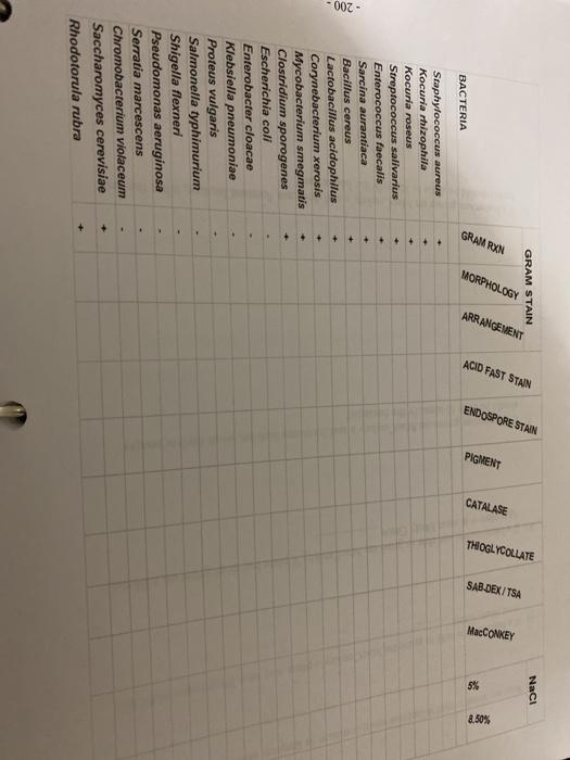 SIM IMVIC TESTS CARB FERM EXOENZYME BACTERIA | Chegg.com