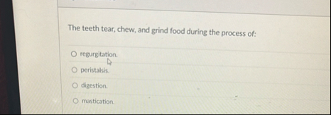 Solved The teeth tear, chew, and grind food during the | Chegg.com