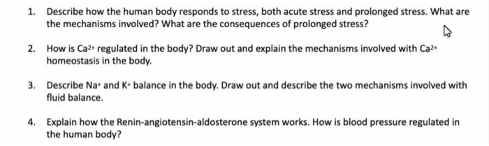 Solved 1. Describe how the human body responds to stress, | Chegg.com