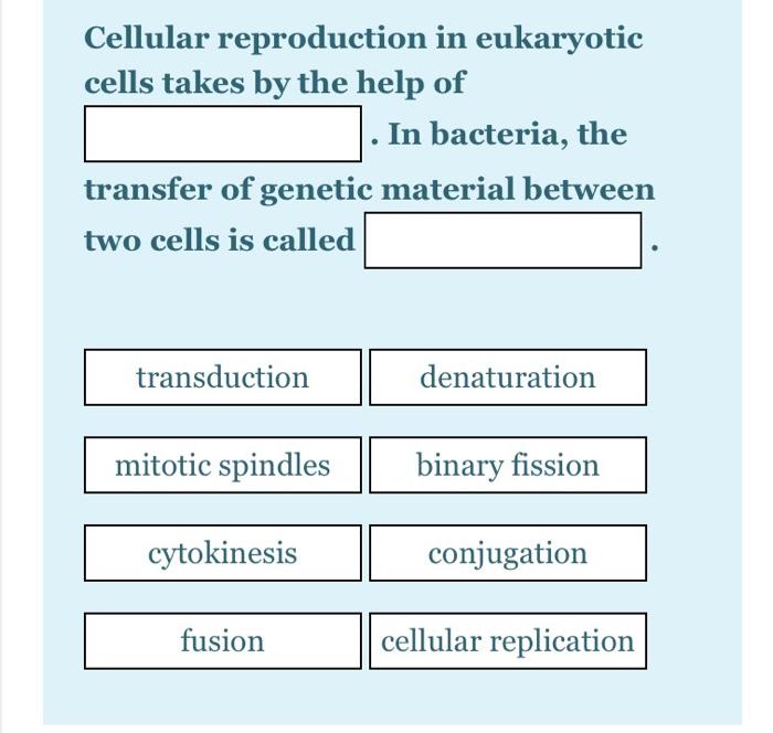 Solved Cellular reproduction in eukaryotic cells takes by | Chegg.com