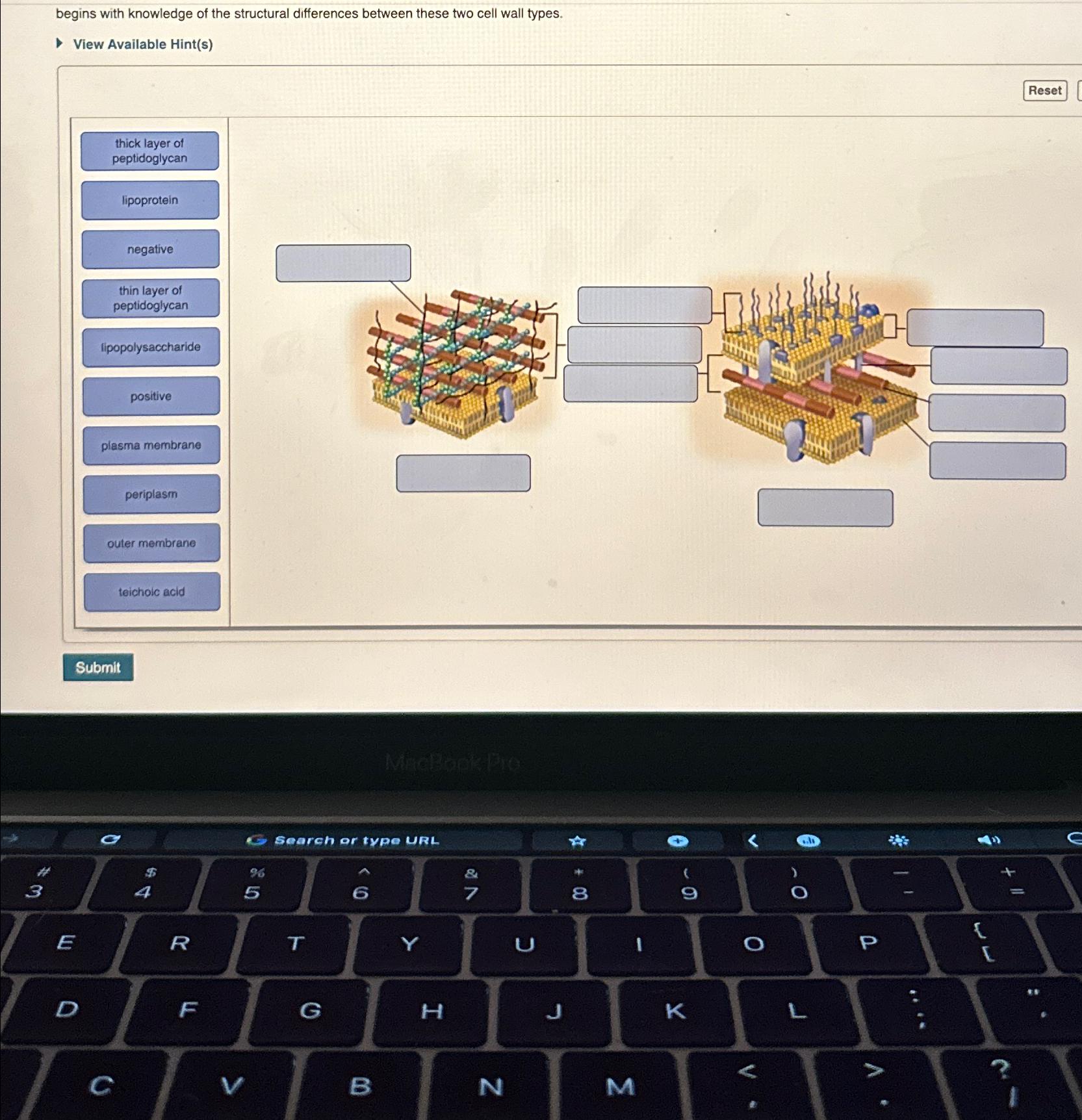 Solved begins with knowledge of the structural differences | Chegg.com