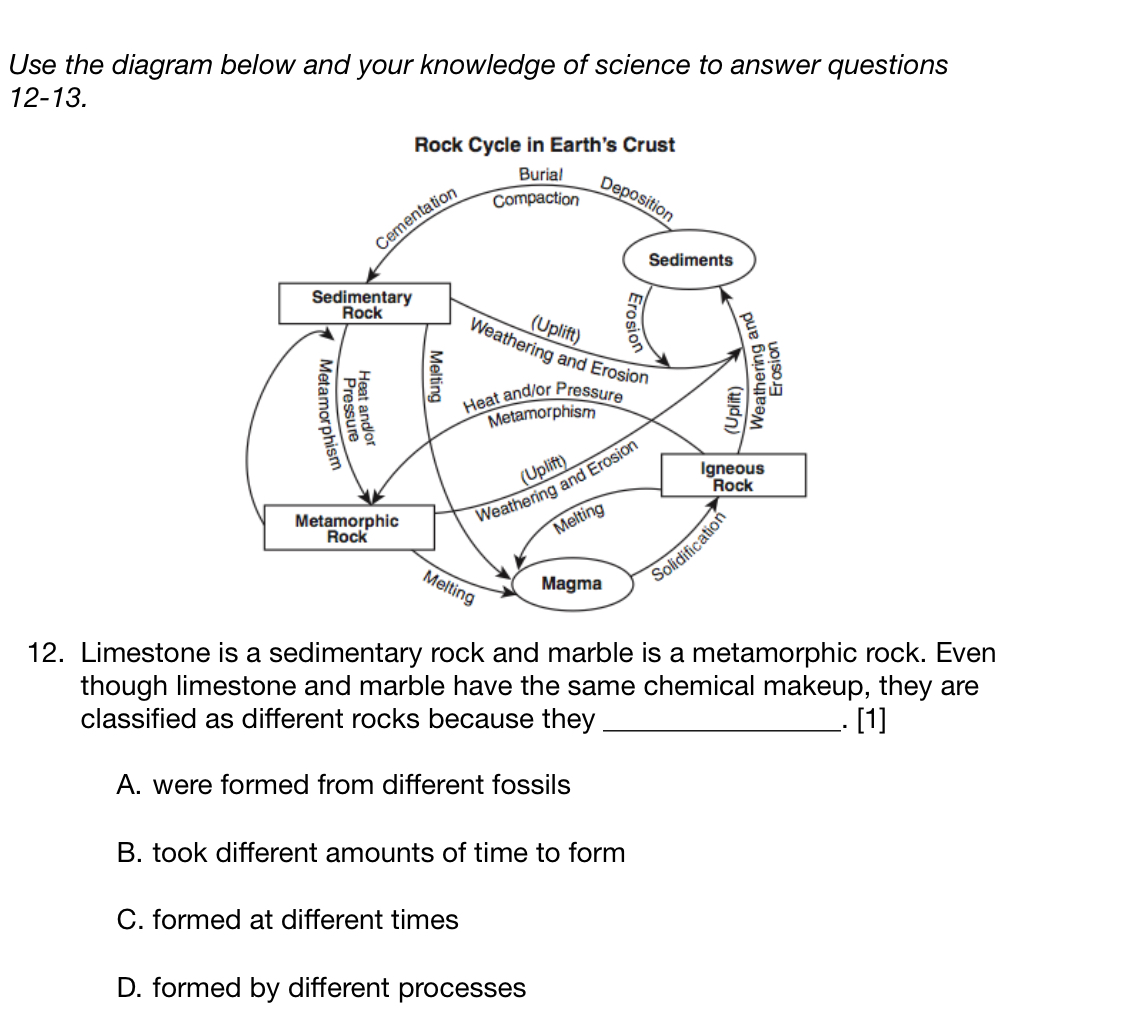 Solved Use the diagram below and your knowledge of science | Chegg.com