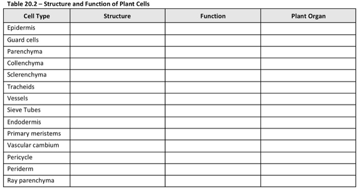 Solved Function Plant Organ Table 20.2 - Structure and | Chegg.com Solved Function Plant Organ Table 20.2 - Structure and | Chegg.com
