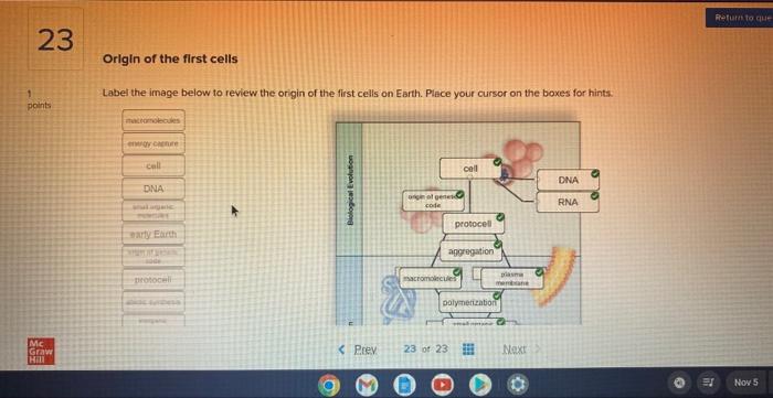Origin of the first cellLabel the image below to | Chegg.com