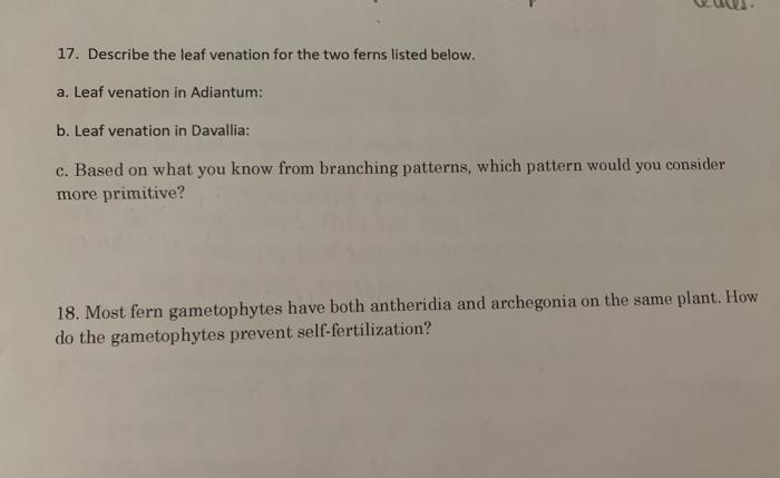 Solved 17. Describe the leaf venation for the two ferns | Chegg.com