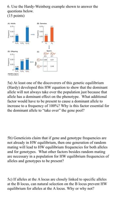 Solved 6. Use the Hardy-Weinberg example shown to answer the | Chegg.com