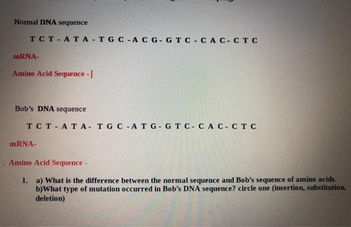 Solved fill in mRNA and amino acid sequence for normal dna | Chegg.com