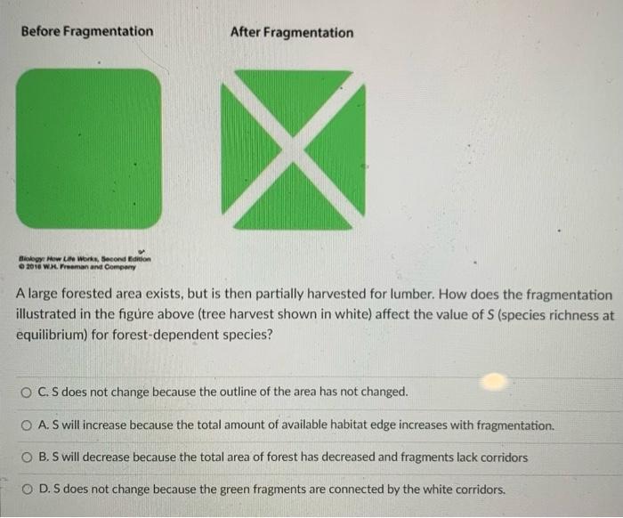 Solved Before Fragmentation After Fragmentation Biology How | Chegg.com