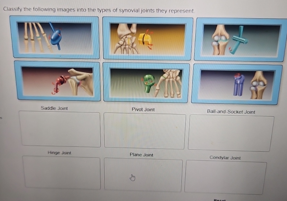 Classify the following images into the types of | Chegg.com