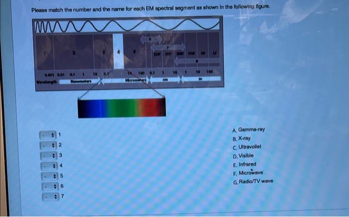 Solved Please match the number and the name for each EM | Chegg.com