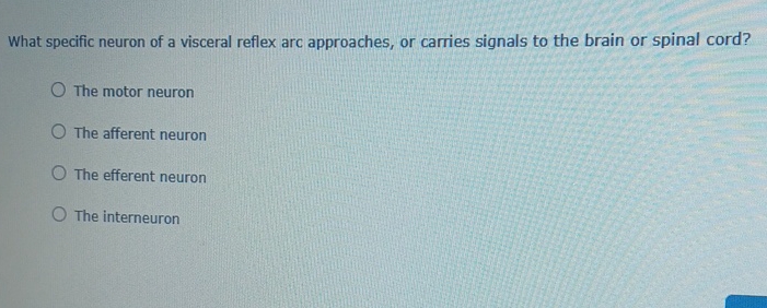 Solved What specific neuron of a visceral reflex arc | Chegg.com