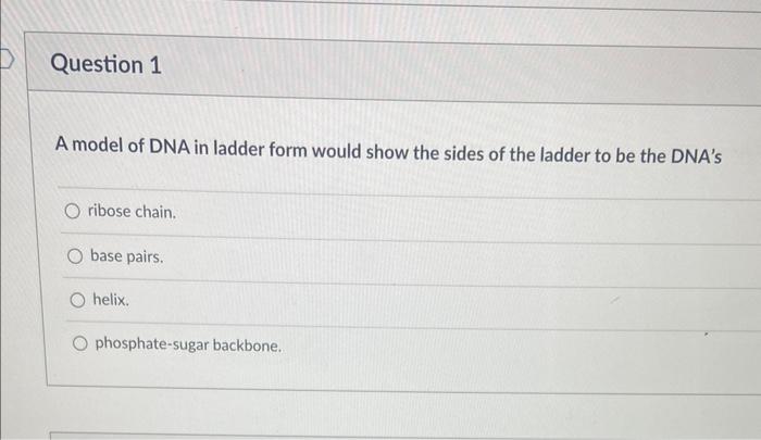 Solved A model of DNA in ladder form would show the sides of | Chegg.com