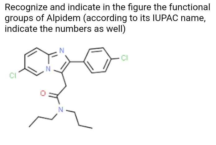 Solved Recognize and indicate in the figure the functional | Chegg.com