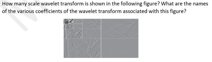 Solved How many scale wavelet transform is shown in the | Chegg.com
