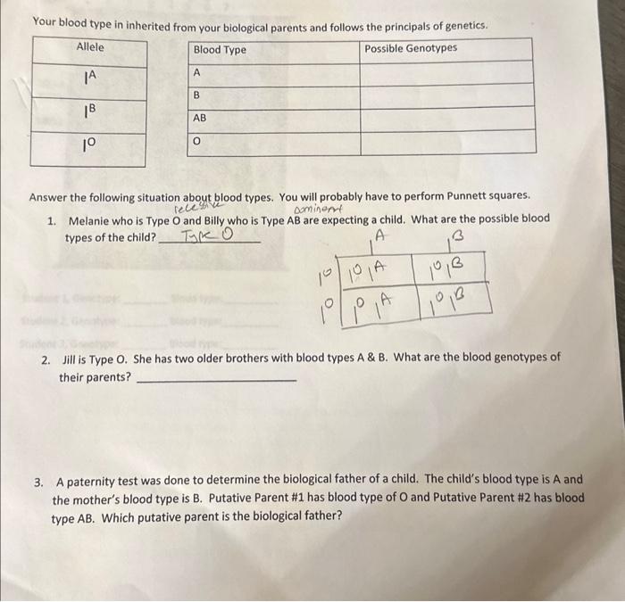 Solved Your blood type in inherited from your biological | Chegg.com