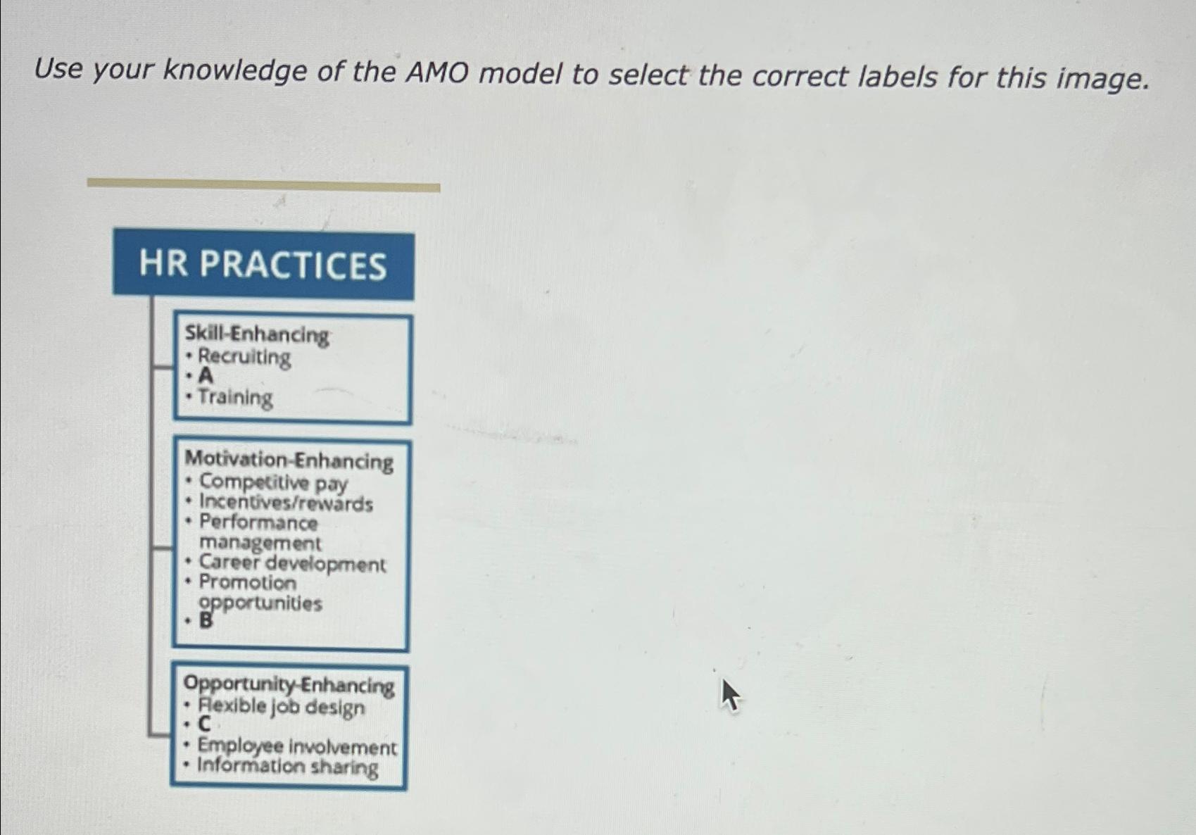 Solved Use your knowledge of the AMO model to select the | Chegg.com