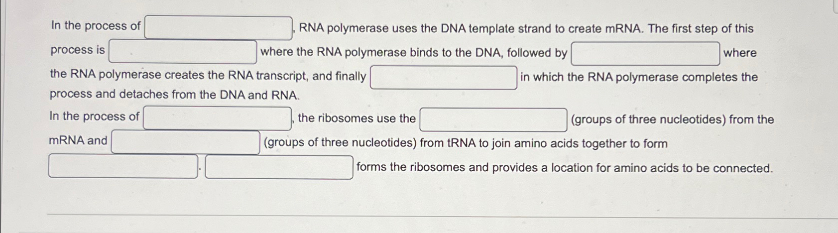 Solved In the process of RNA polymerase uses the DNA | Chegg.com
