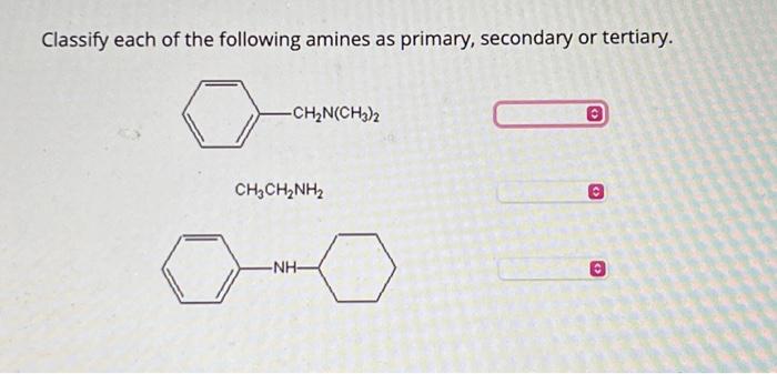 Solved Classify each of the following amines as primary, | Chegg.com