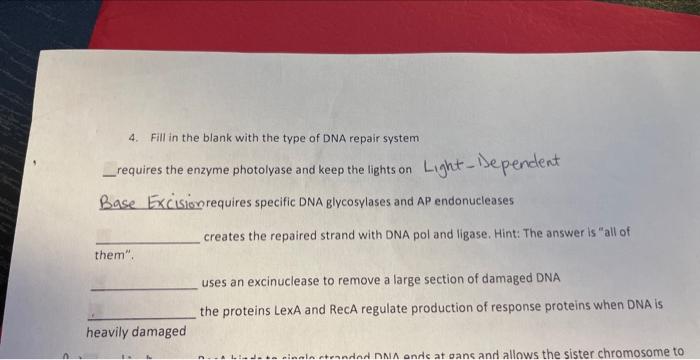Solved 4. Fill in the blank with the type of DNA repair | Chegg.com
