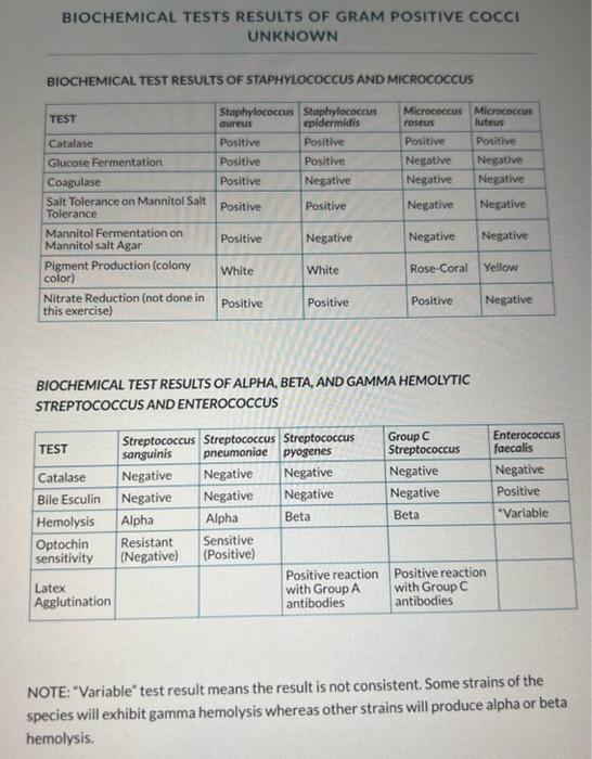 Solved BIOCHEMICAL TESTS RESULTS OF GRAM POSITIVE COCCI | Chegg.com