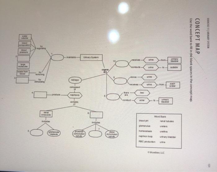 Solved EXERCISE 11 LINARY SYSTEM w co படின்ன ay om CONCEPT | Chegg.com
