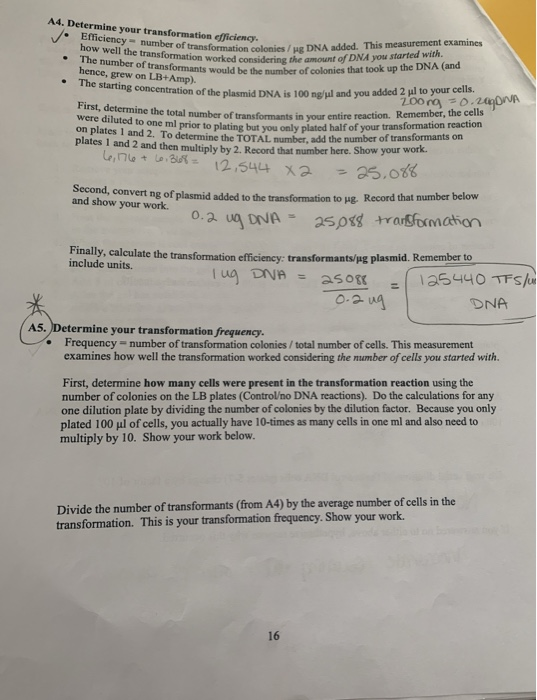 A5. Determine your transformation frequency. | Chegg.com